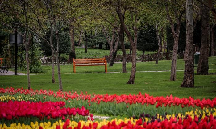 Mellat Park | Tourist attractions in Tehran