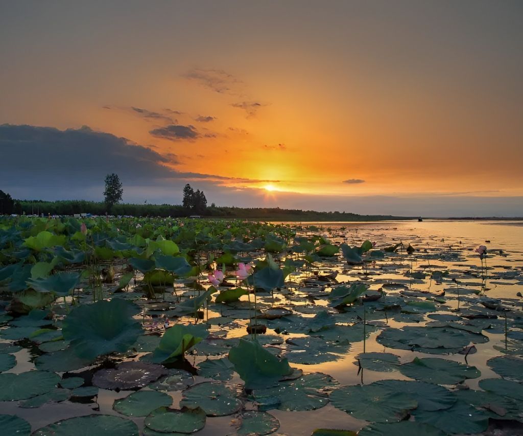 Anzali Lagoon | Tourist attractions in Bandar-e Anzali
